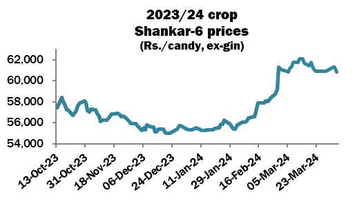 Home | Cotton Outlook