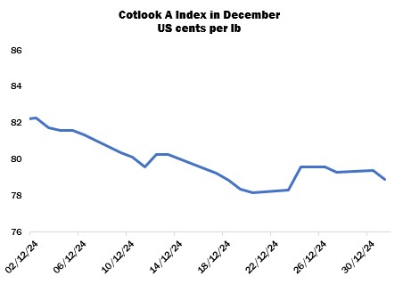 December 2024 Market Summary - Cotton Outlook