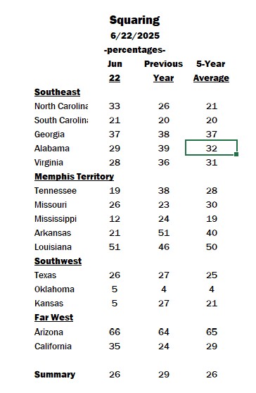 Home | Cotton Outlook
